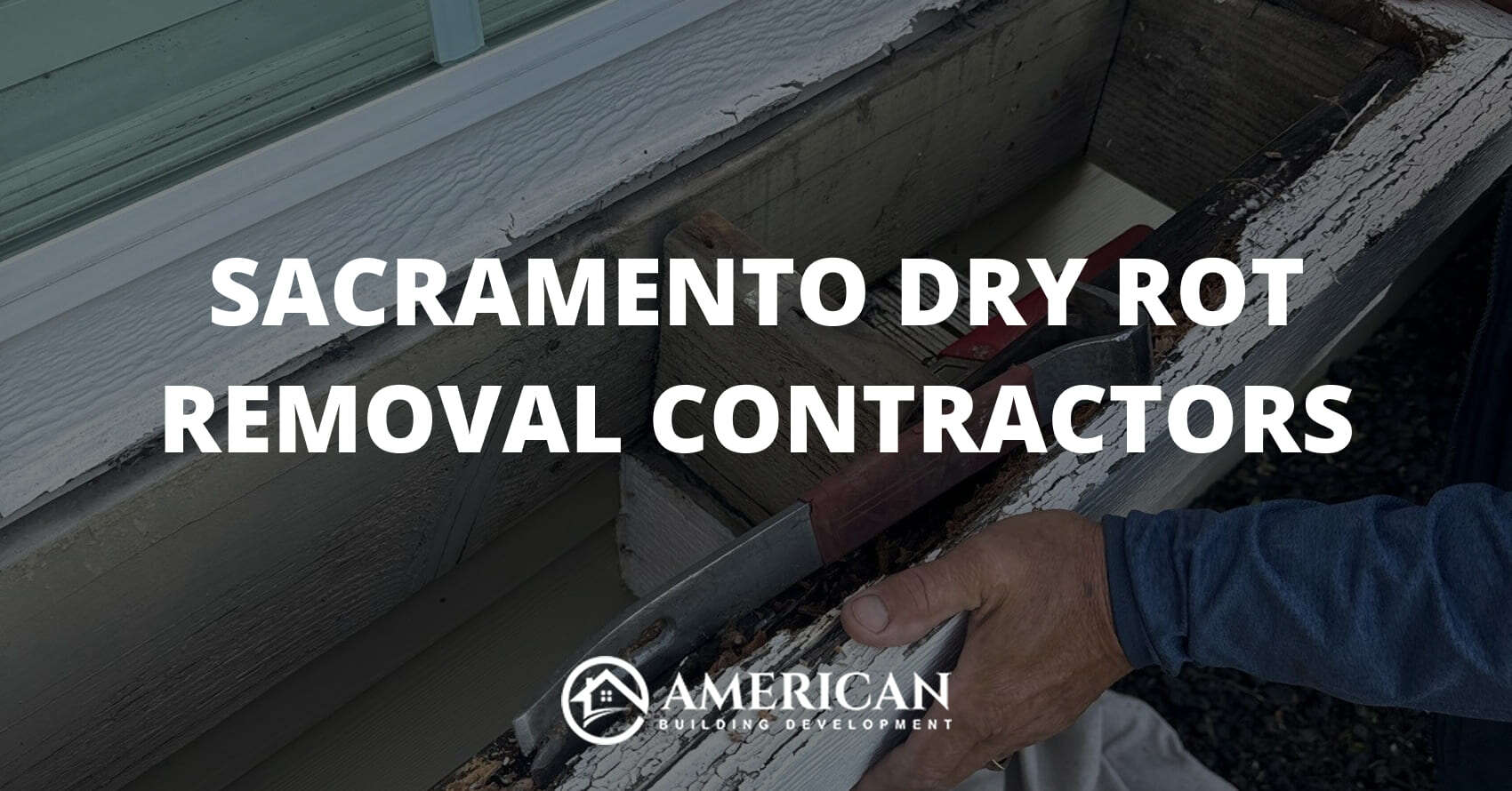 Sacramento Dry Rot Removal Experts | Fast, Trusted Service ABD