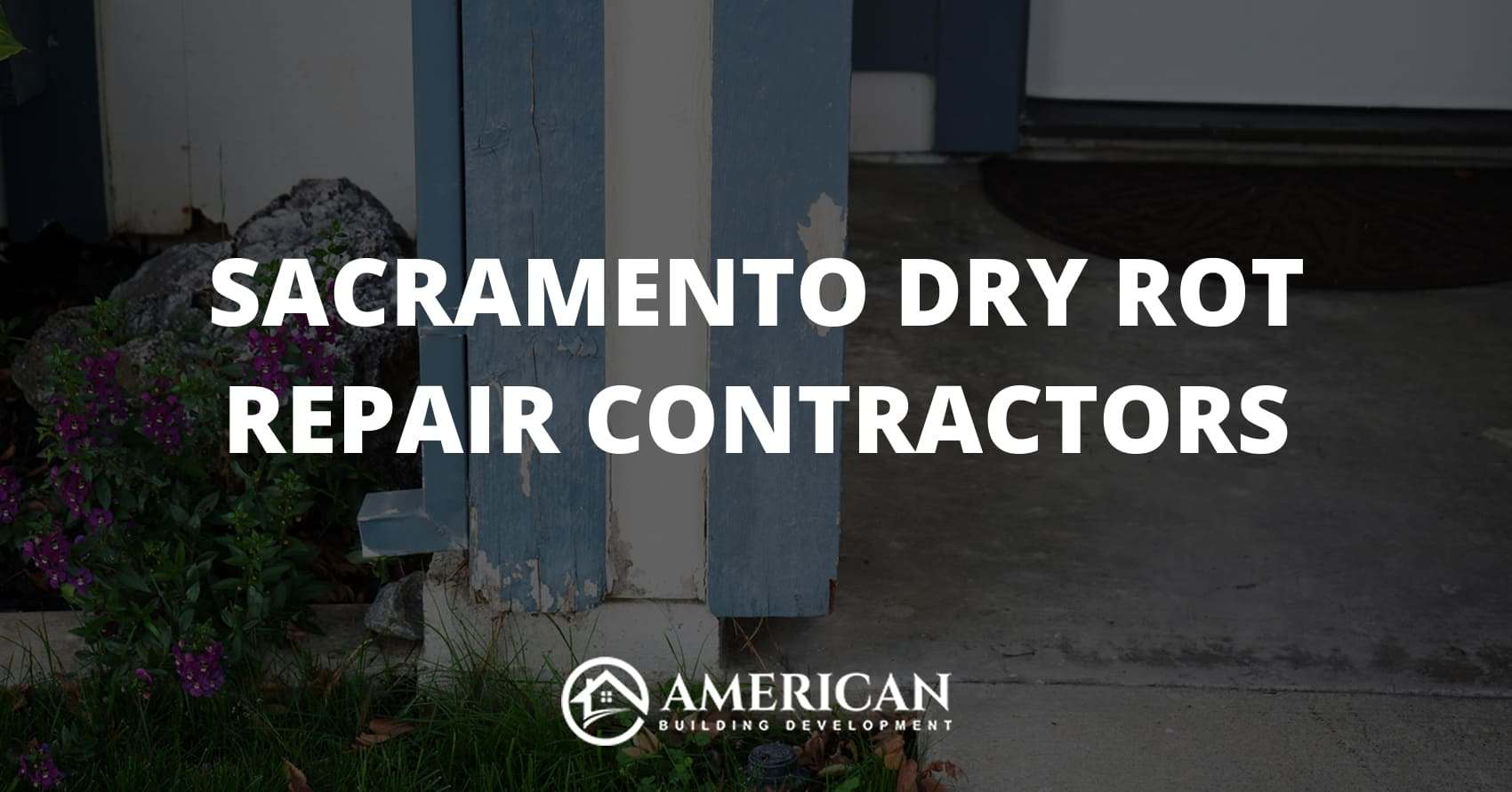 Dry Rot Repair Contractors in Sacramento - ABD